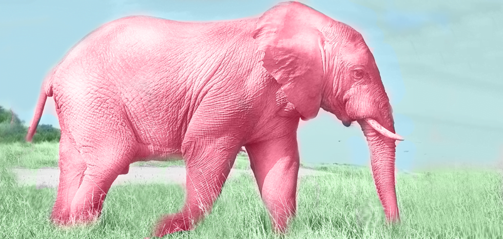 Prova a non immaginare un elefante rosa! - Stefano Centonze